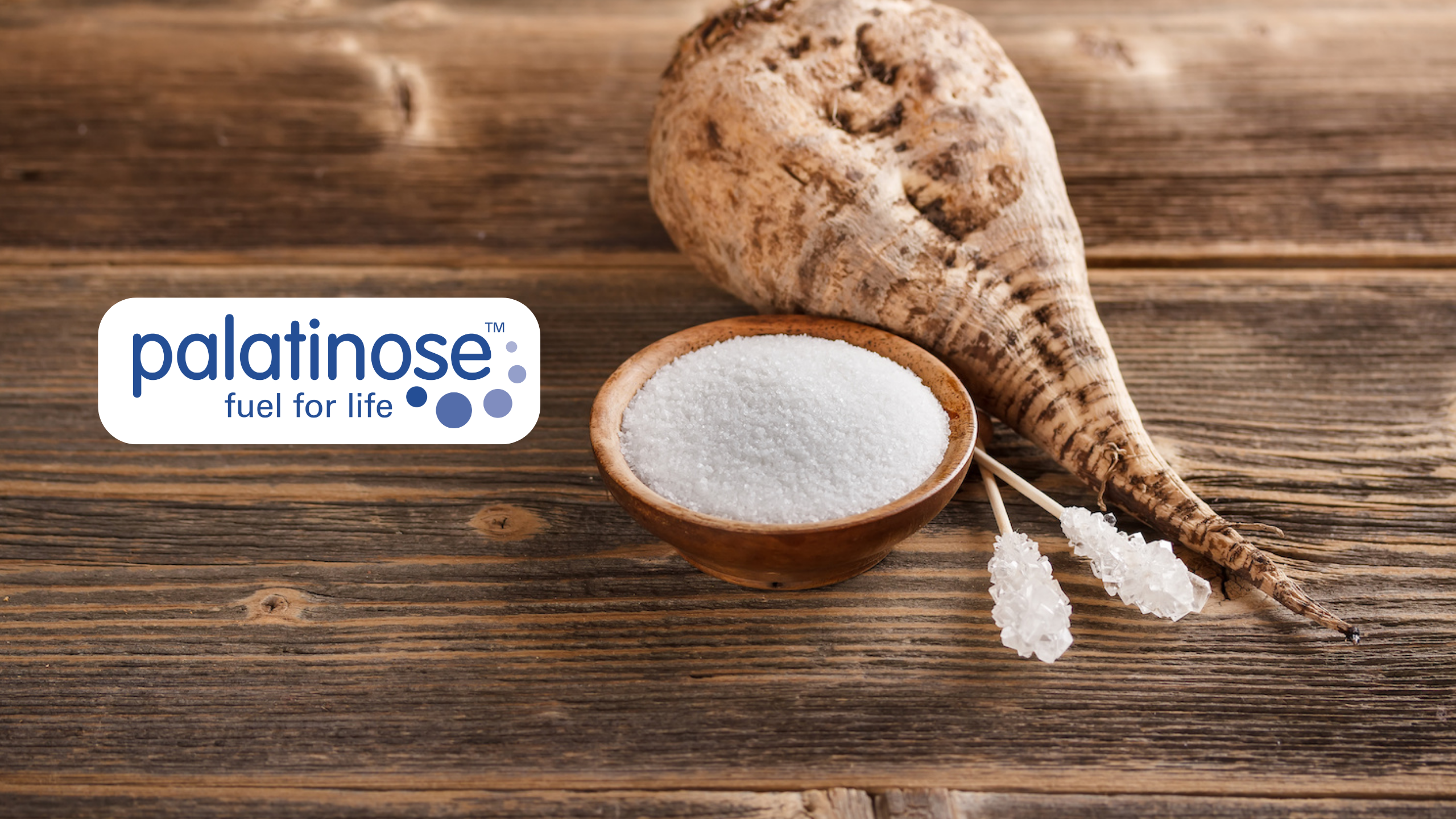 Branded Ingredient Showcase: Palatinose™ and Why I love it ...